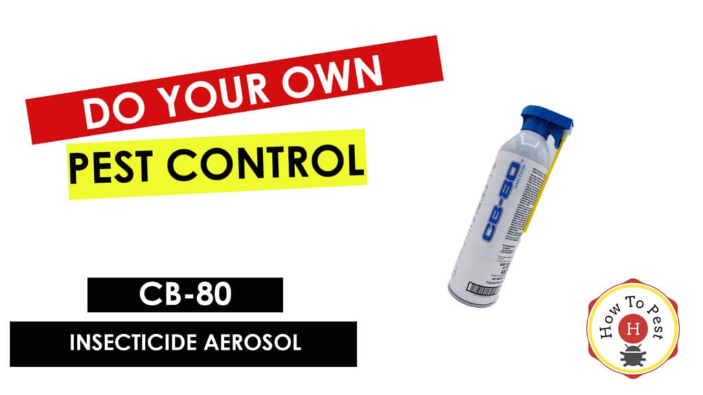 CB-80 Insecticide Spray | How To Pest |Free Shipping