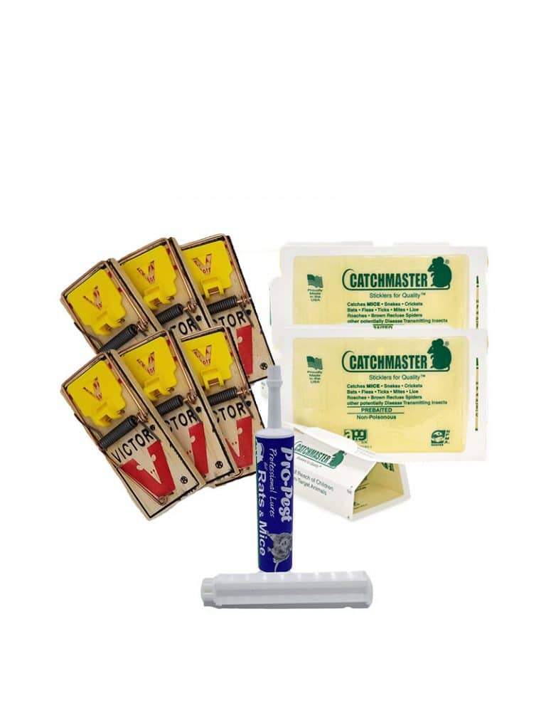 Catchmaster 612 Multi-Catch Mouse Trap | How To Pest |Free Shipping