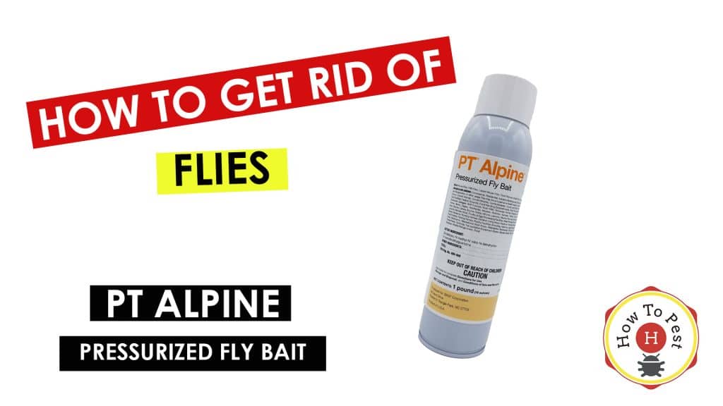 PT Alpine Pressurized Fly Bait | How To Pest |Free Shipping