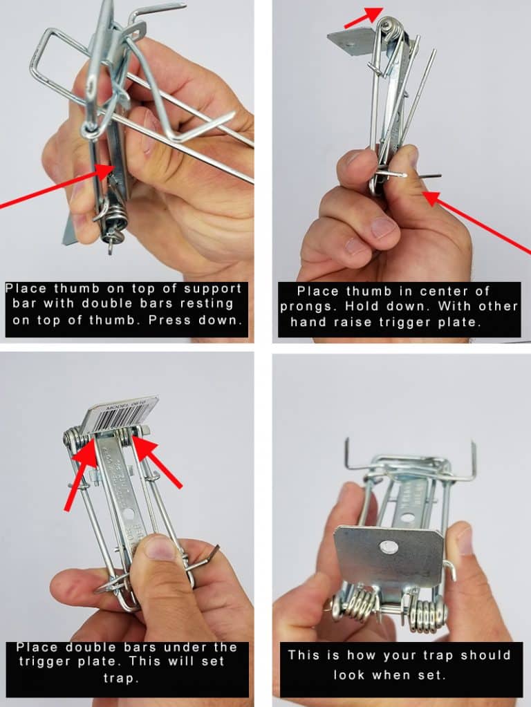 Victor EasySet Gopher Trap - 0610 | How To Pest |Free Shipping