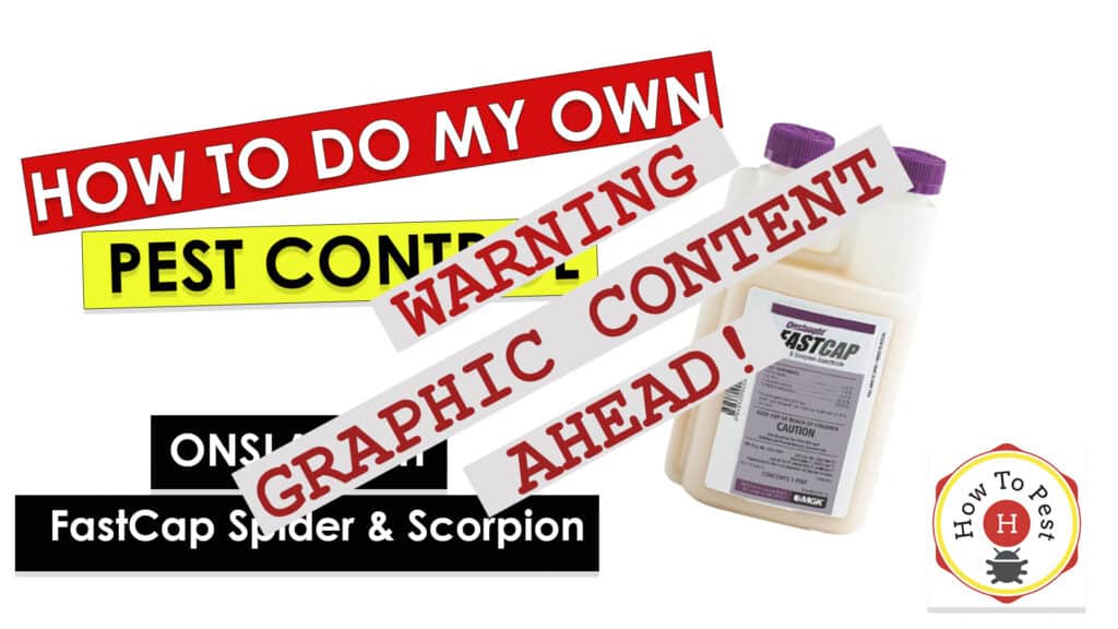 Onslaught FastCap Spider & Scorpion Insecticide | How To Pest