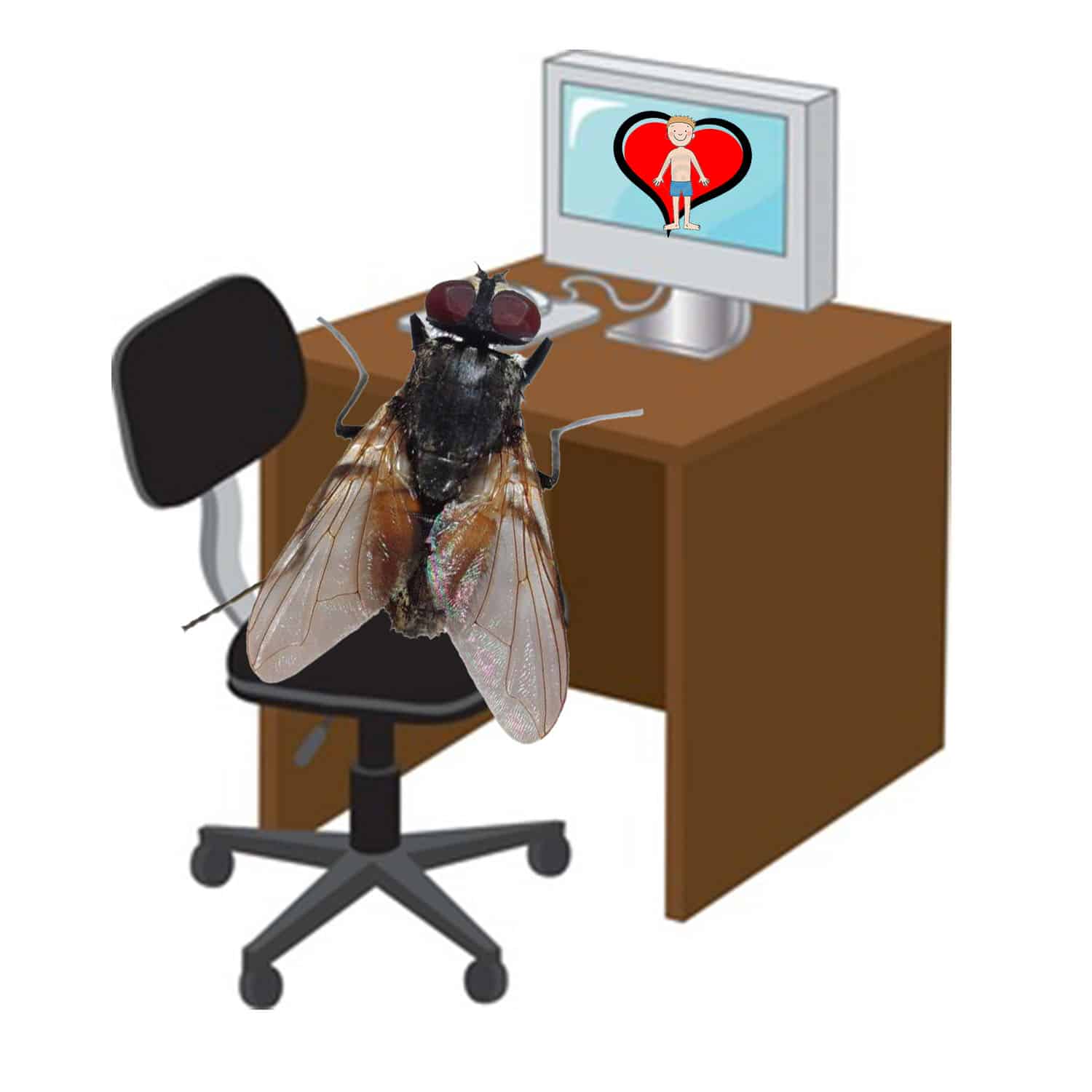 Swipe Right. Black Flies | How To Pest