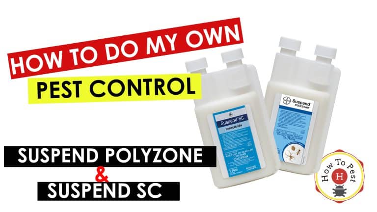 Suspend PolyZone Insecticide | How To Pest |Free Shipping
