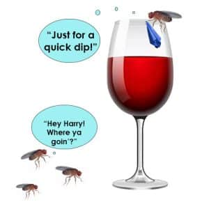 The Struggle is Real...Buy Wine! Fruit Flies. | How To Pest
