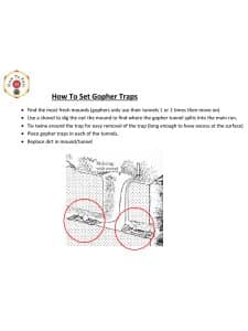 The Gophinator Gopher Traps | How To Pest |Free Shipping