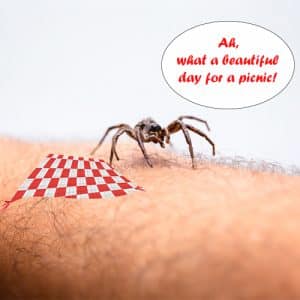 Once Bitten, Twice Shy! Bug Bite Identification | How To Pest