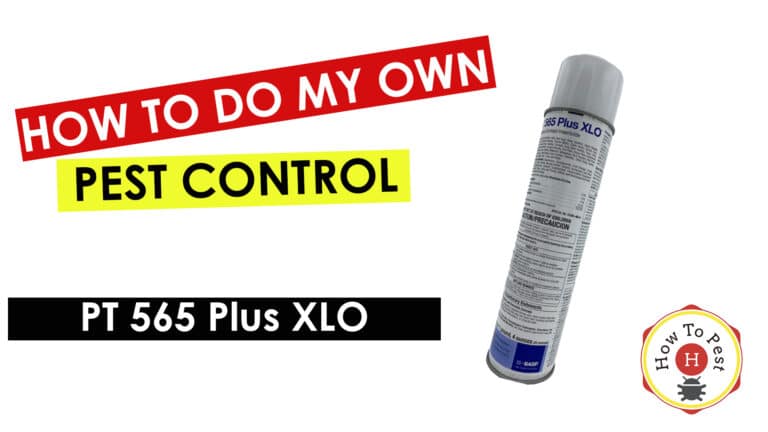 PT 565 Plus XLO Insecticide | How To Pest |Free Shipping