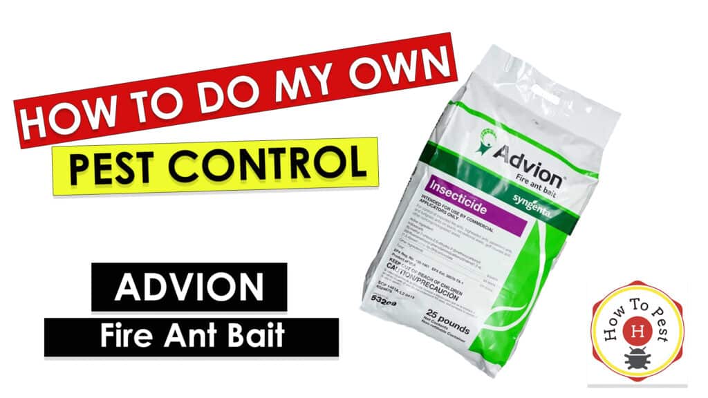 Advion Fire Ant Bait - How To Pest -Free Shipping