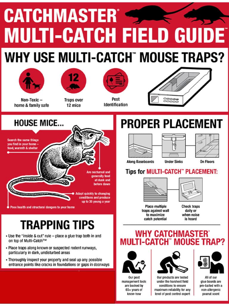 Catchmaster 612 Multi-Catch Mouse Trap | How To Pest |Free Shipping