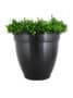 Ovi-Planter Mosquito Trap - How To Pest -Free Shipping