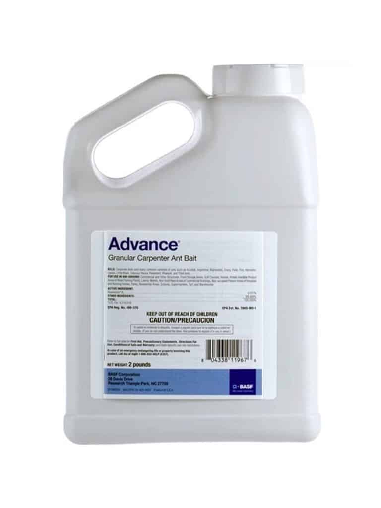 Advance Carpenter Ant Bait | How To Pest |Free Shipping