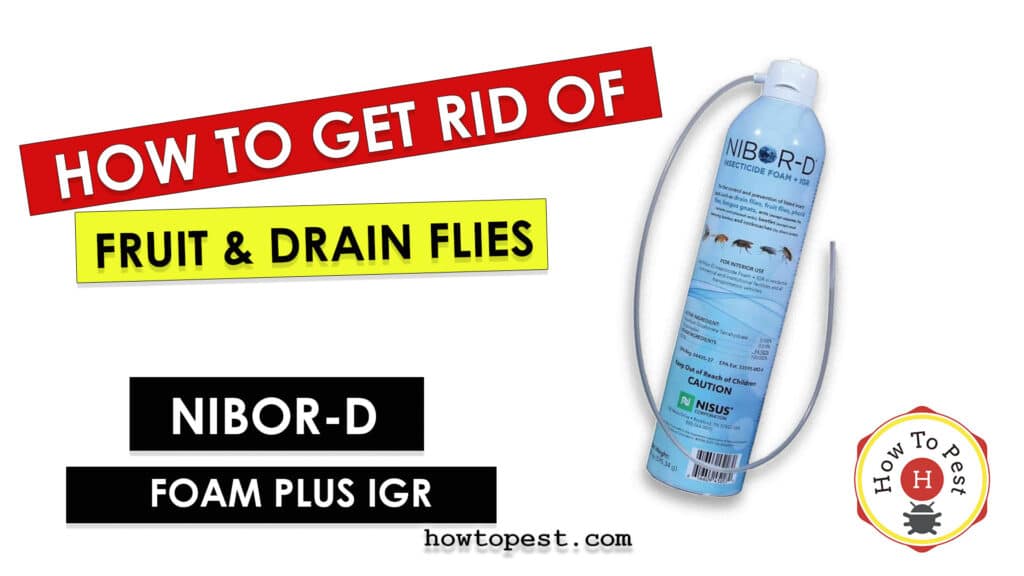 Nibor D Insecticide Foam Plus IGR - How To Pest -Free Shipping