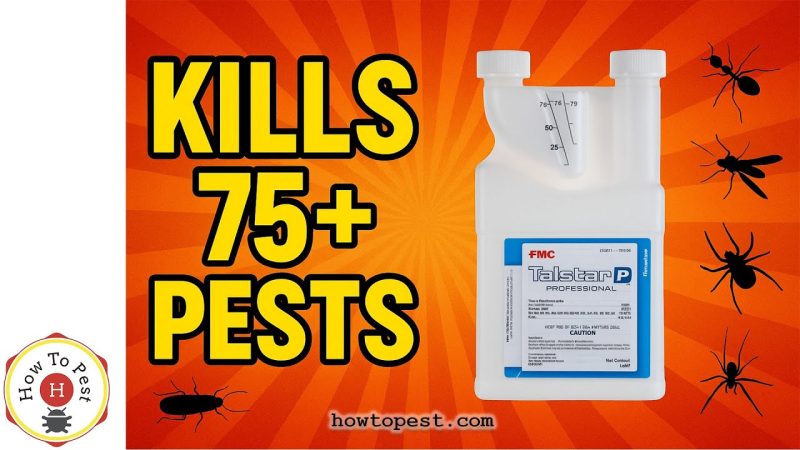 does talstar kill ants