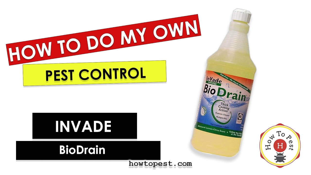 InVade Bio Drain | Professional Enzyme Drain Cleaner for Fruit Fly Control