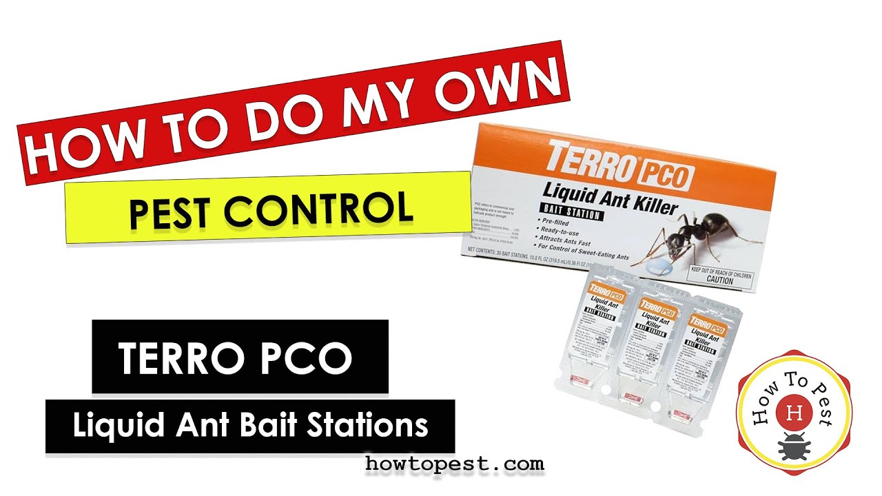 Terro PCO Liquid Ant Bait Stations | Professional Ant Bait That ...